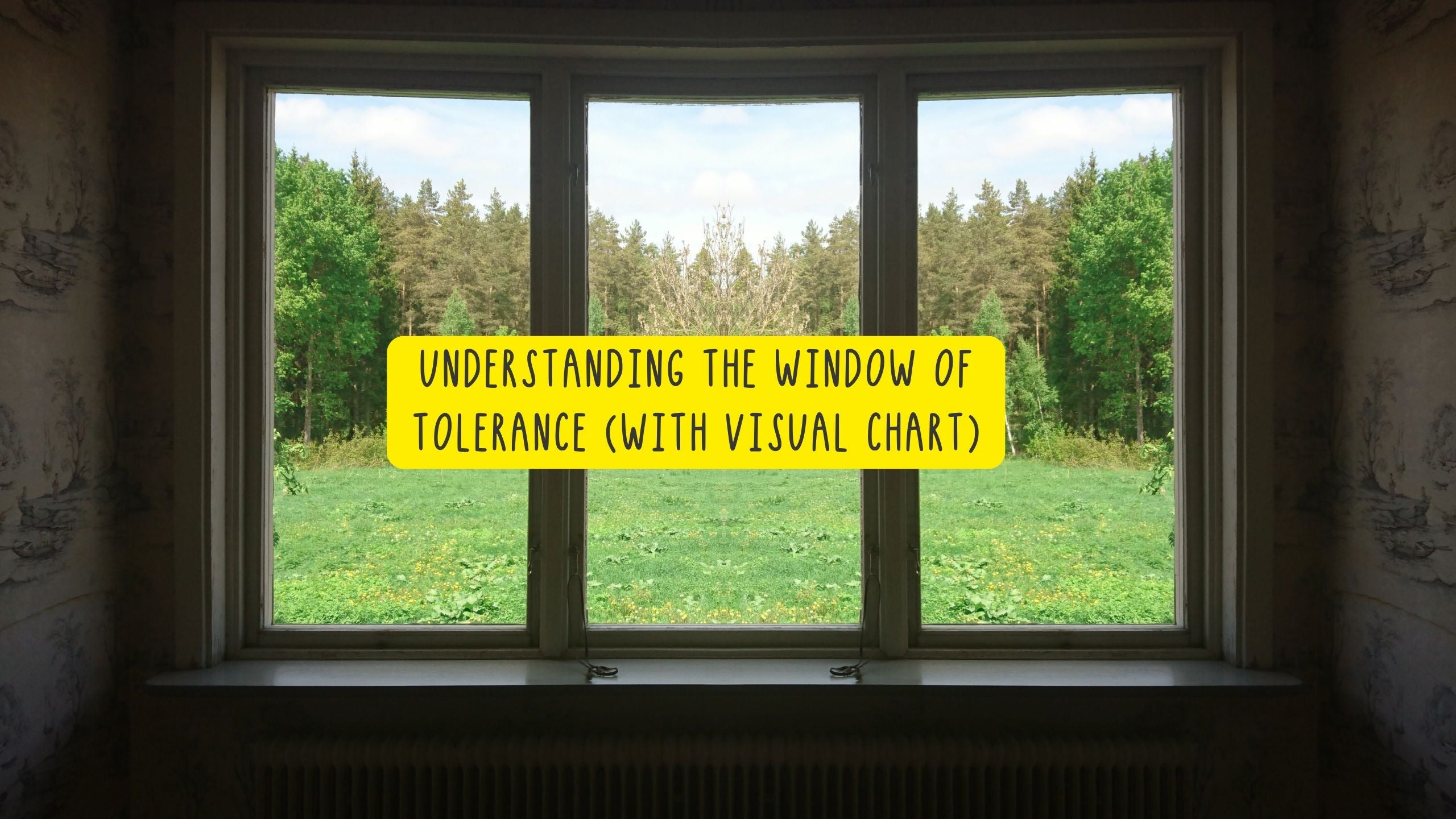 Understanding the Window of Tolerance (With Visual Chart) – Therapy Courses